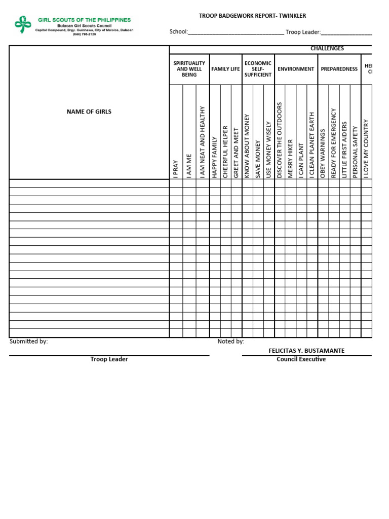 Badgework Report Forms | PDF