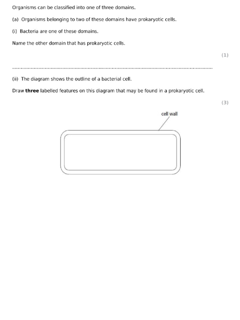 Cell Test | PDF