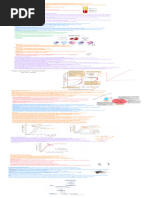 Red Blood Cell Adaptations Explained | PDF