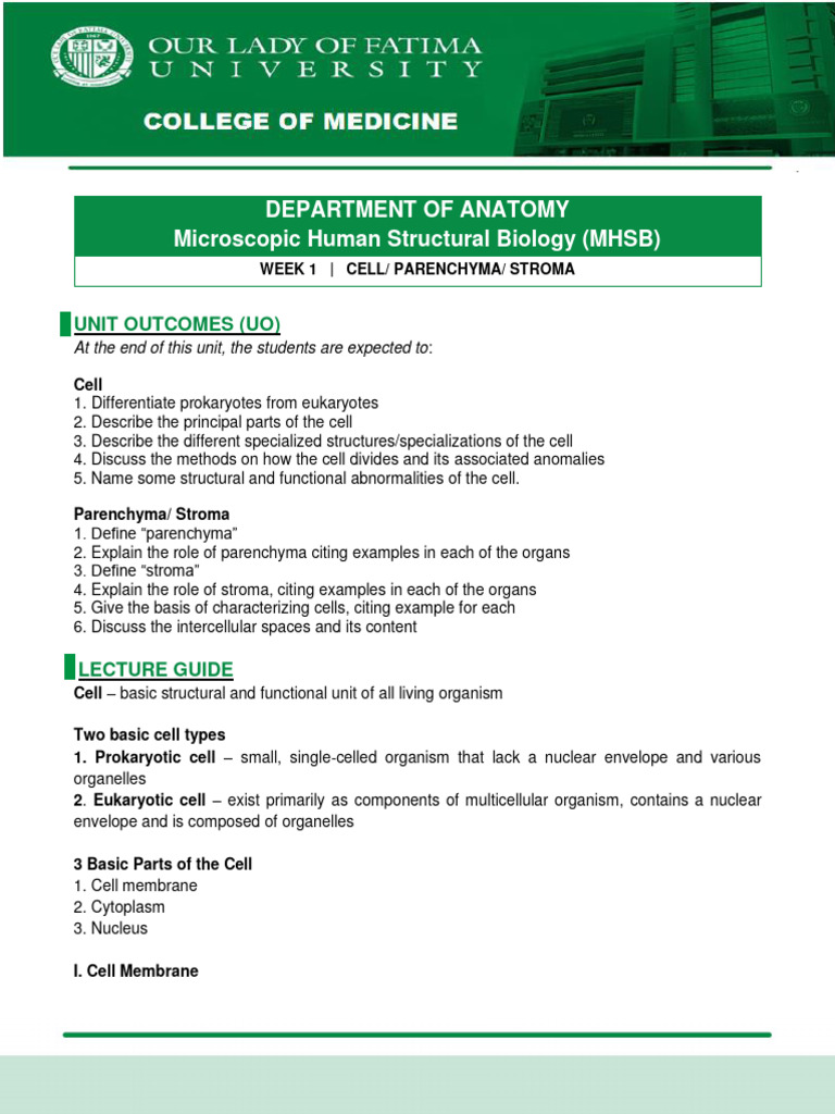 Micro HSB Lecture Guide Week 1 - Cell Parenchyma Stroma | PDF | Meiosis ...
