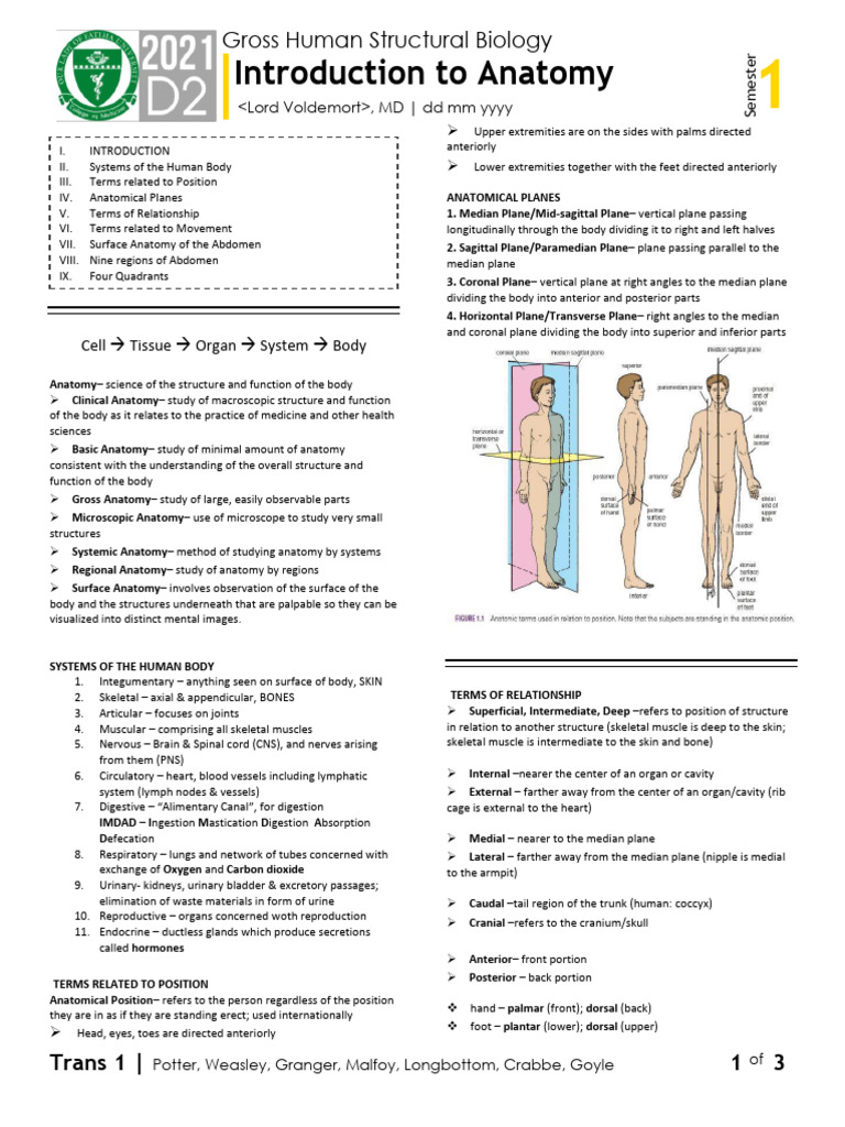 Gross - 1S01 - Intro To Anatomy | PDF | Anatomical Terms Of Motion ...