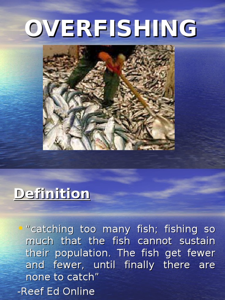 Understanding Overfishing and Its Causes | PDF | Overfishing | Cod