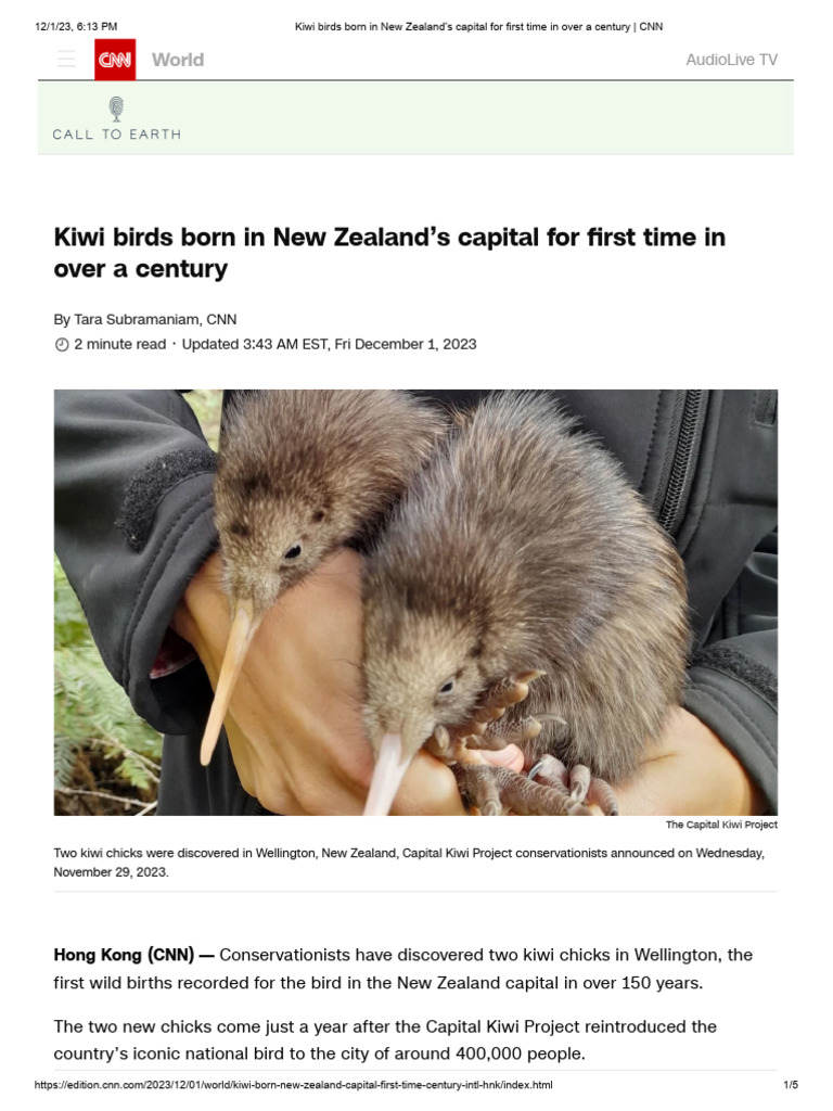 Kiwi Birds Born in New Zealand's Capital For First Time in Over A ...