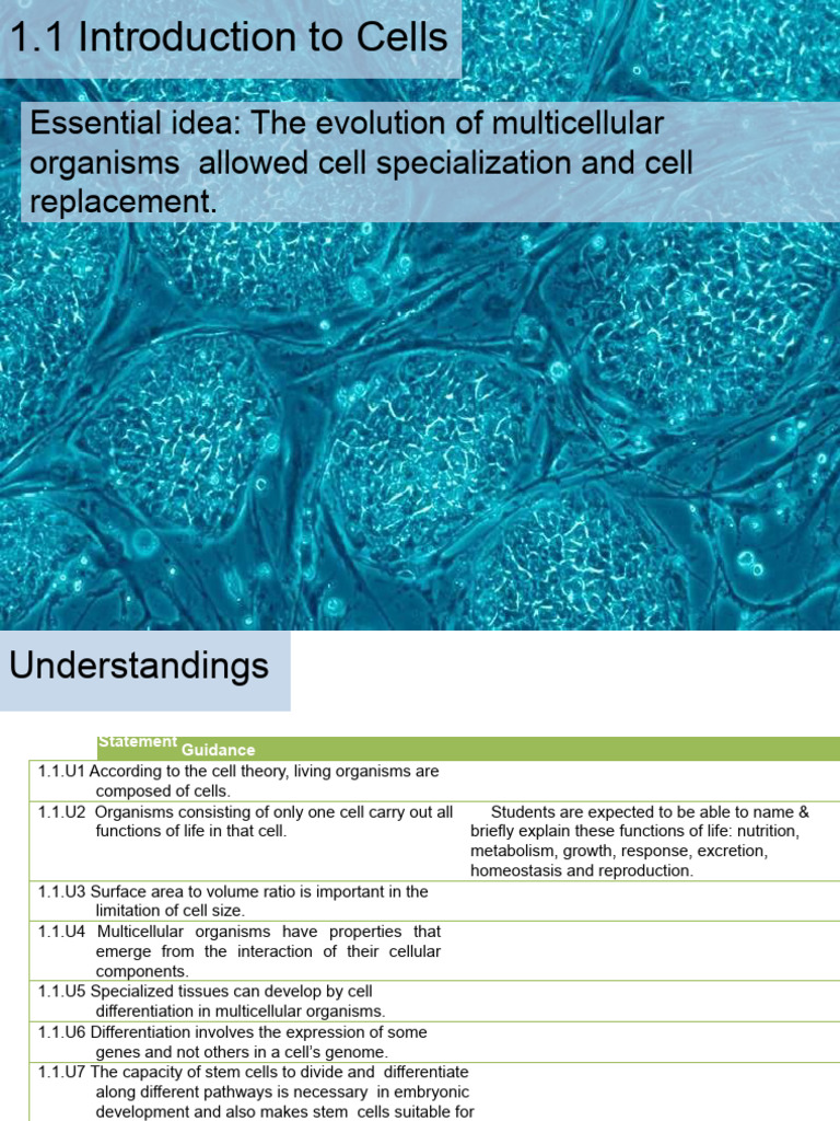 1.1 Introduction To Cells | PDF | Stem Cell | Cellular Differentiation