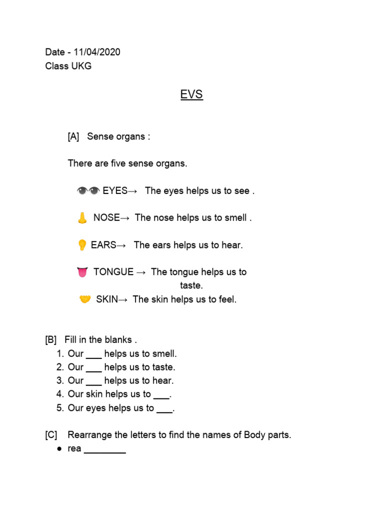 UKG EVS: Sense Organs and Family Terms | PDF | Language Arts & Discipline