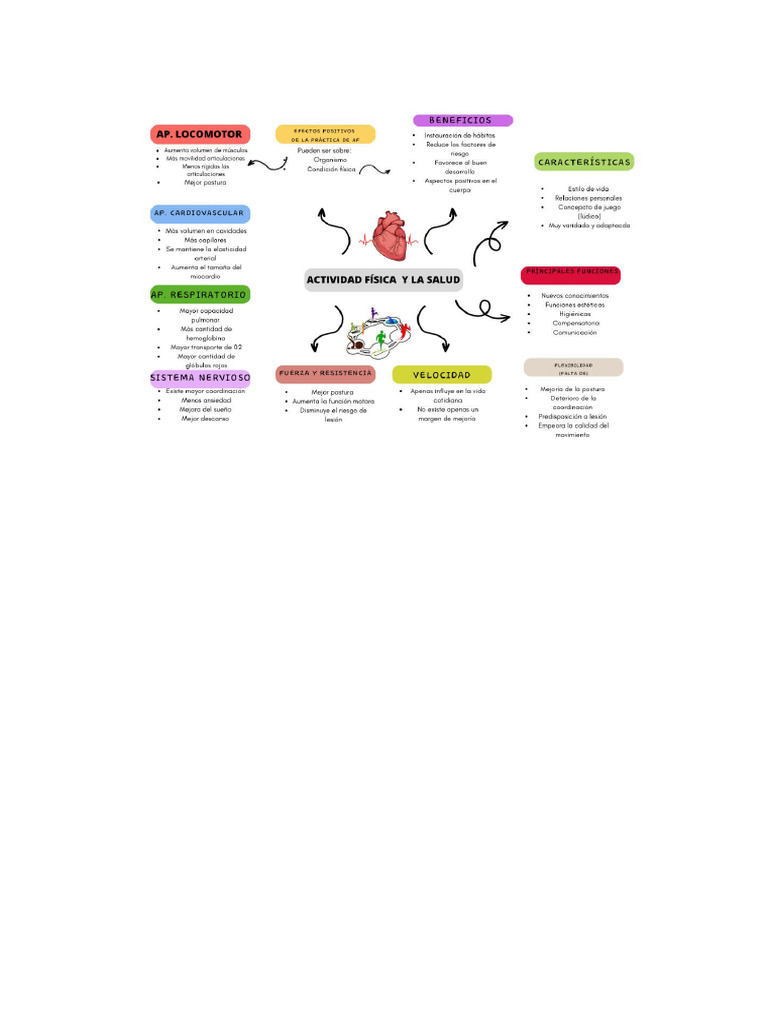 Actividad Esquema Actividad Física | PDF