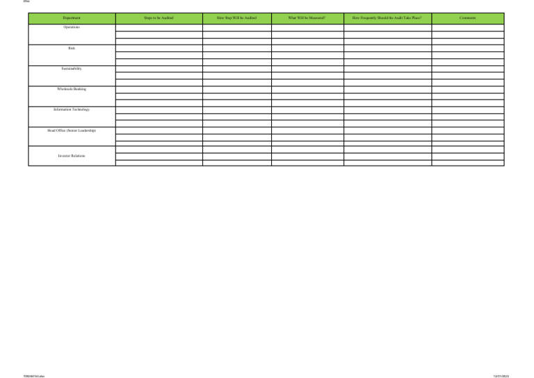 Internal Audit Scope Template | PDF | Business | Finance & Money Management