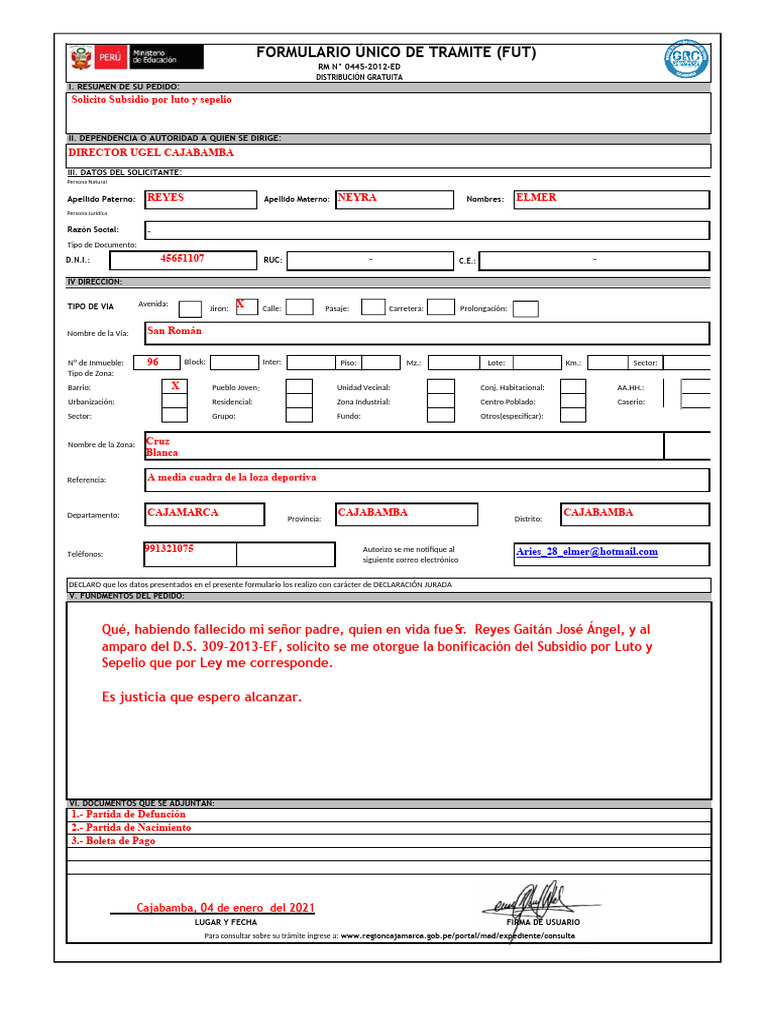 FUT - UGEL - 2020 - Modelo de Llenado | PDF