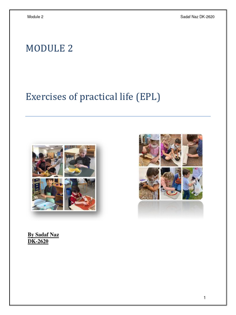 Assignment Module 2 - Sadaf Naz - DK-2620 | PDF | Montessori Education