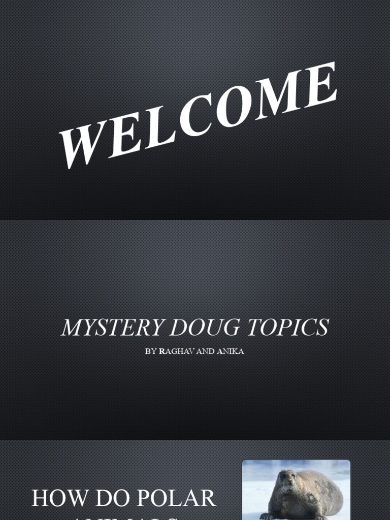 Mystery Doug | PDF | Color | Telephone