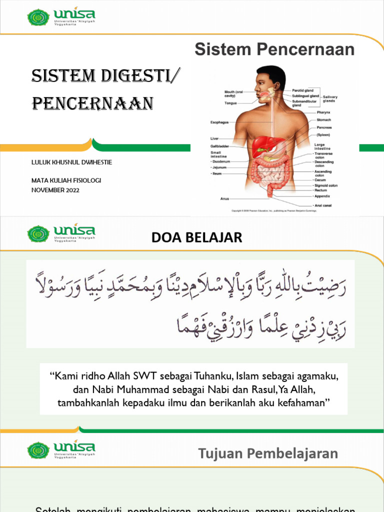 Sistem Digesti | PDF