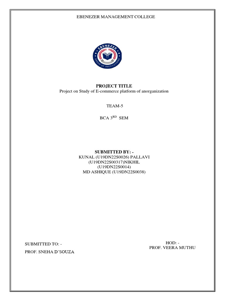 Ecommerce | PDF | E Commerce | Retail