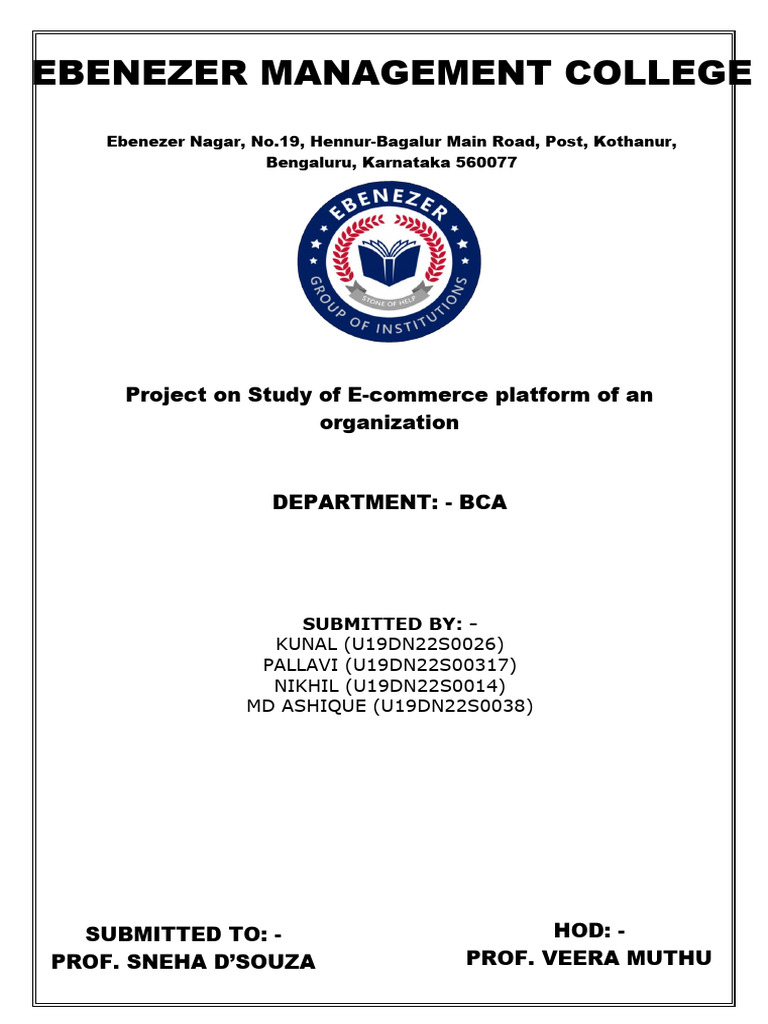 Ecommerce Pdf E Commerce Retail