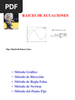 Método de Bisección | PDF | Ecuaciones | Algoritmos