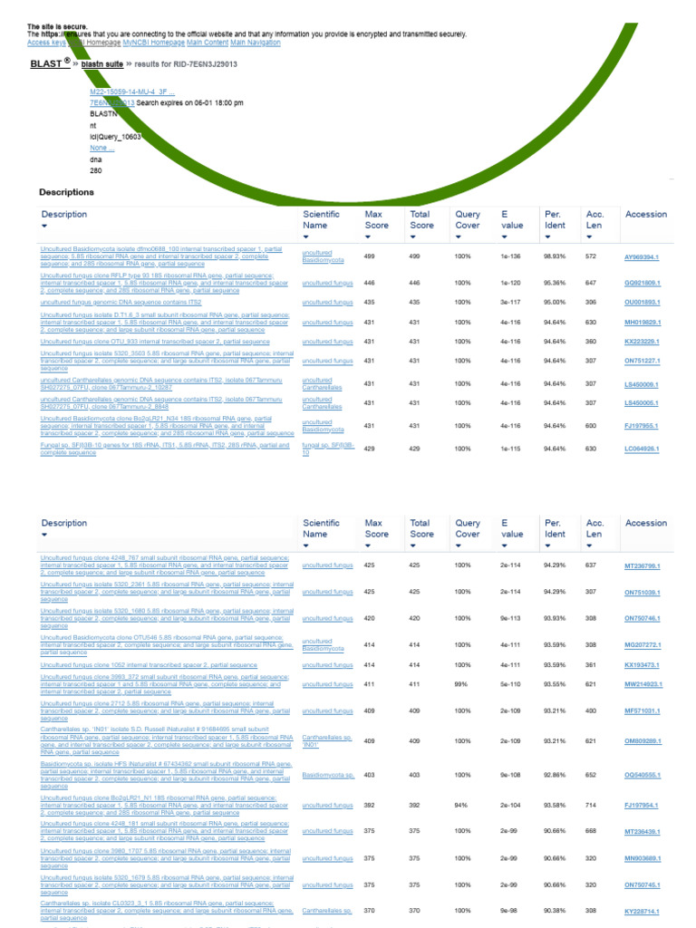 NCBI Blast - M22-15059-14-MU-4 - 3F | PDF | Ribosomal Rna | Rna