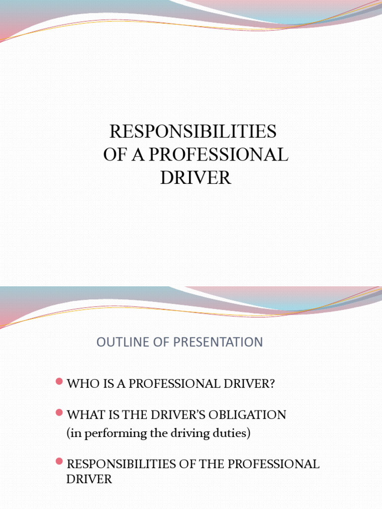 Professional Driver Responsibilities Guide | PDF | Seat Belt | Driving