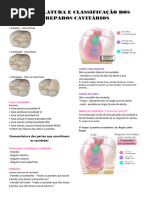 Planejamento Resto Radicular 16 | PDF | Anestesia | Especialidades médicas