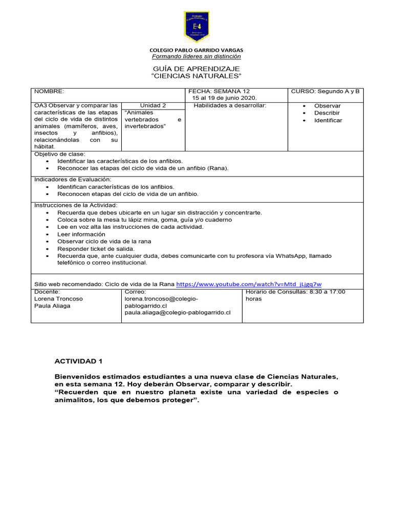 Guia de Los Anfibios | PDF | Anfibio | Zoología