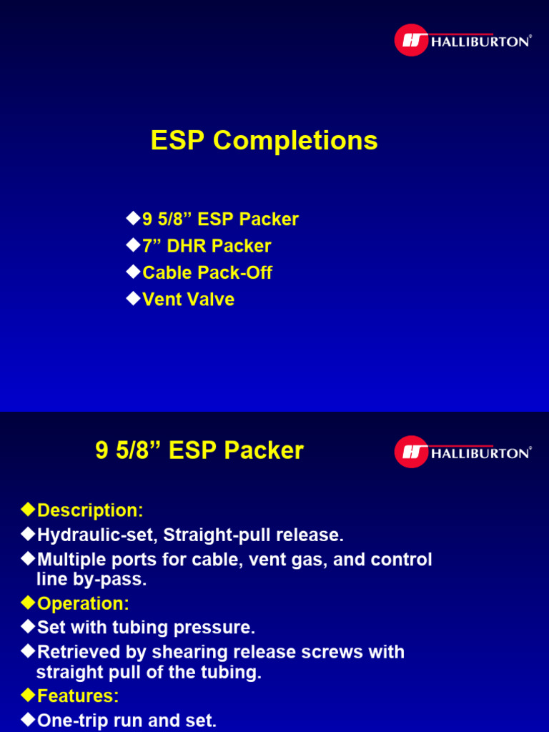 ESP Training | PDF | Pressure | Pipe (Fluid Conveyance)