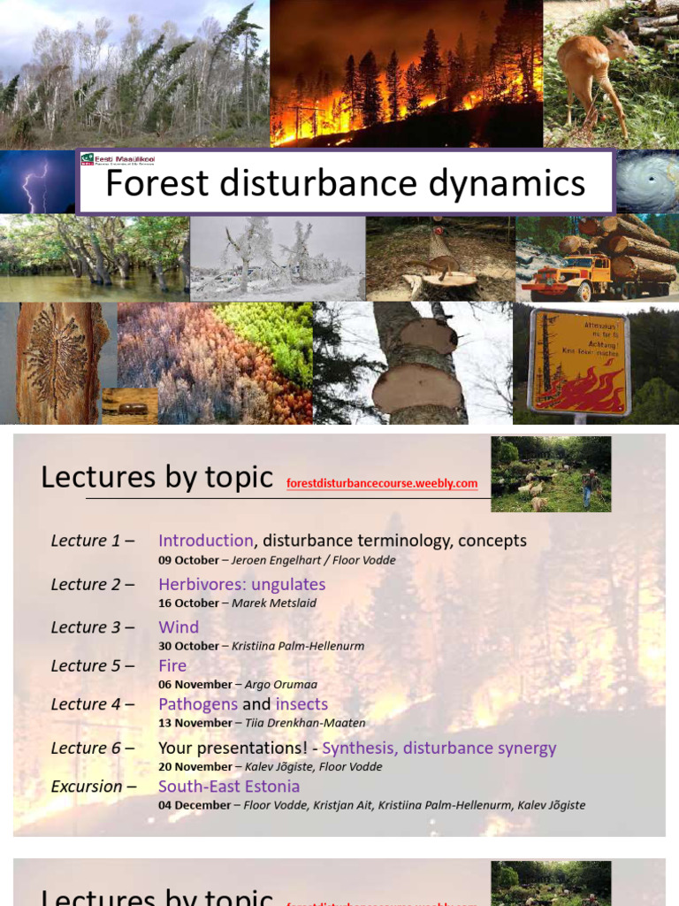 Forest Disturbance Dynamics l6b - Synthesis Floor 20 | PDF ...