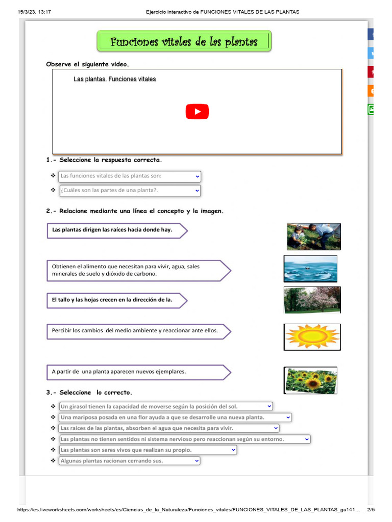 Funciones Vitales de las Plantas | PDF | Salud y bienestar | Ciencia y ...