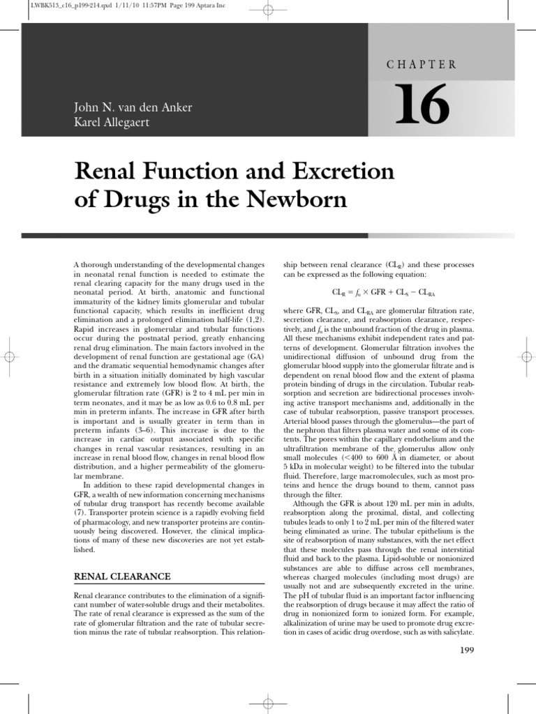 Yaffe Chapter Renal Maturation | PDF | Angiotensin | Kidney