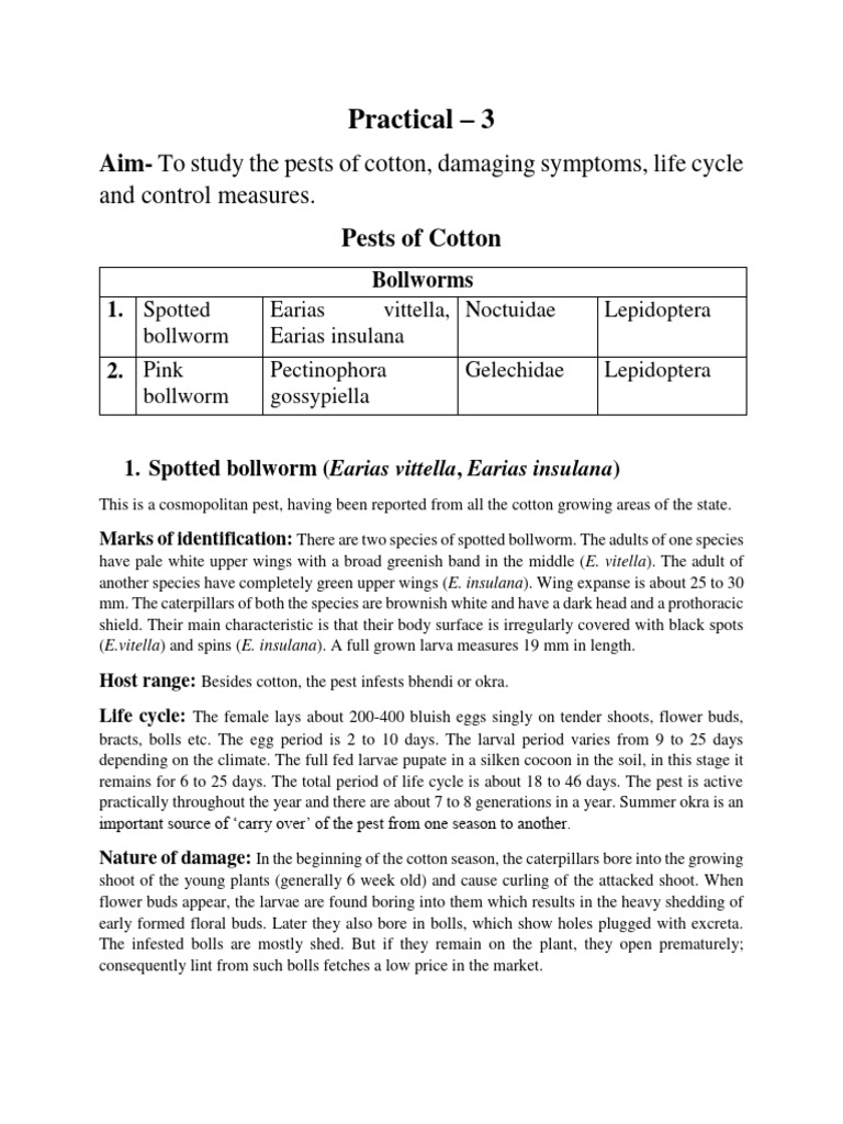 Practical - 3 | PDF | Pupa | Pest (Organism)