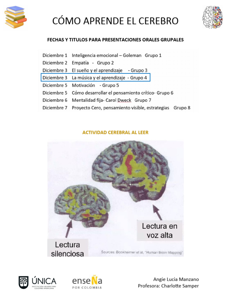Modulo Como Aprende El Cerebro Descargar Gratis Pdf Cerebro Las