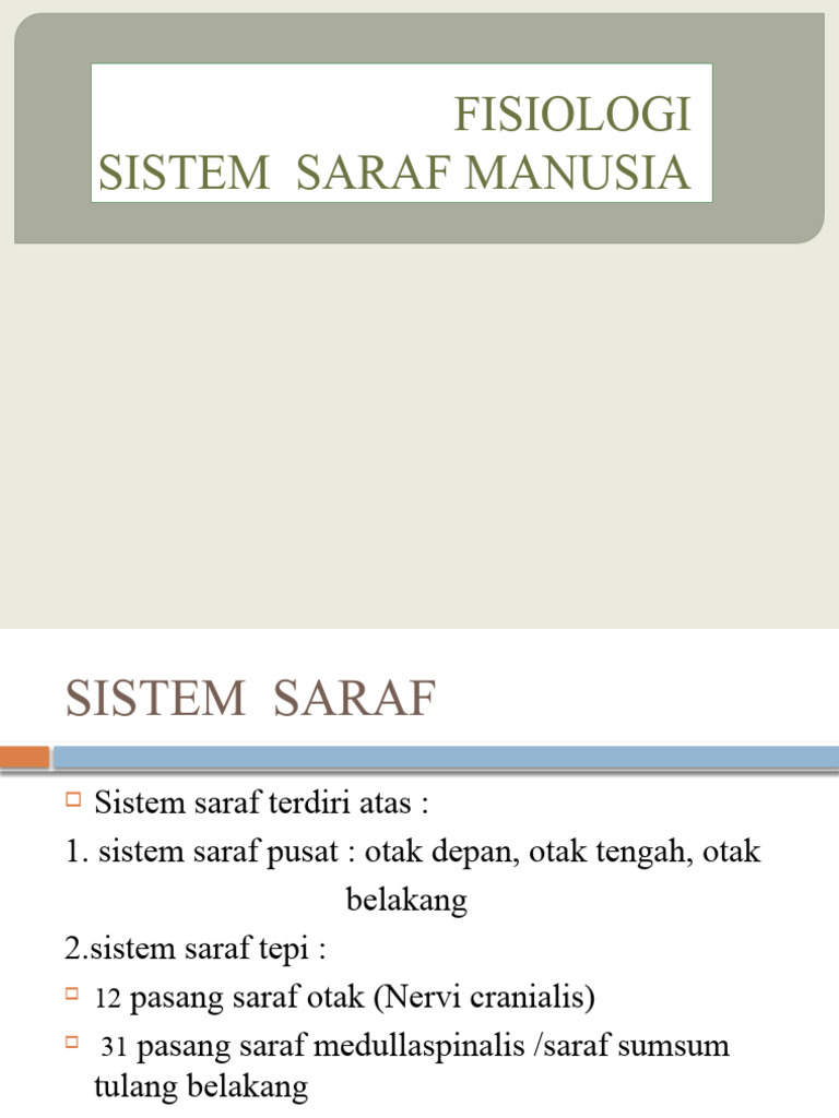 FISIOLOGI S.saraf | PDF | Kajian Bahasa Asing | Sains & Matematika