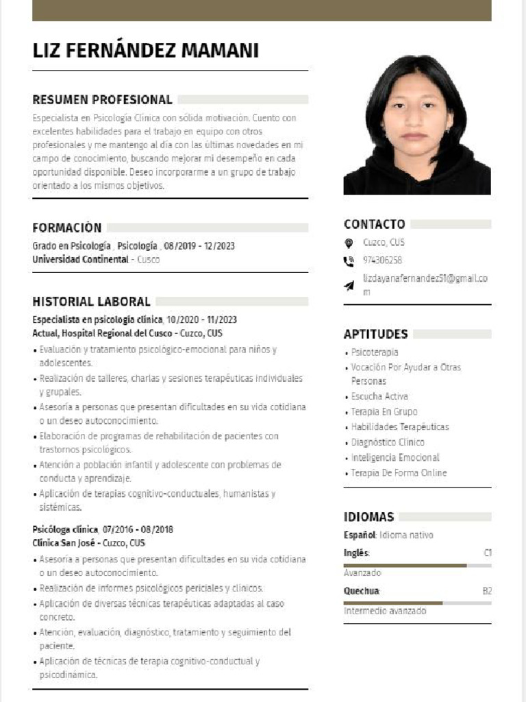 CV - Liz Dayana Fernandez | PDF