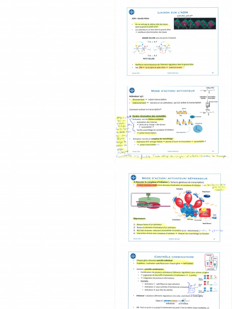 2.3 Bilan Adn Prot Ii | PDF