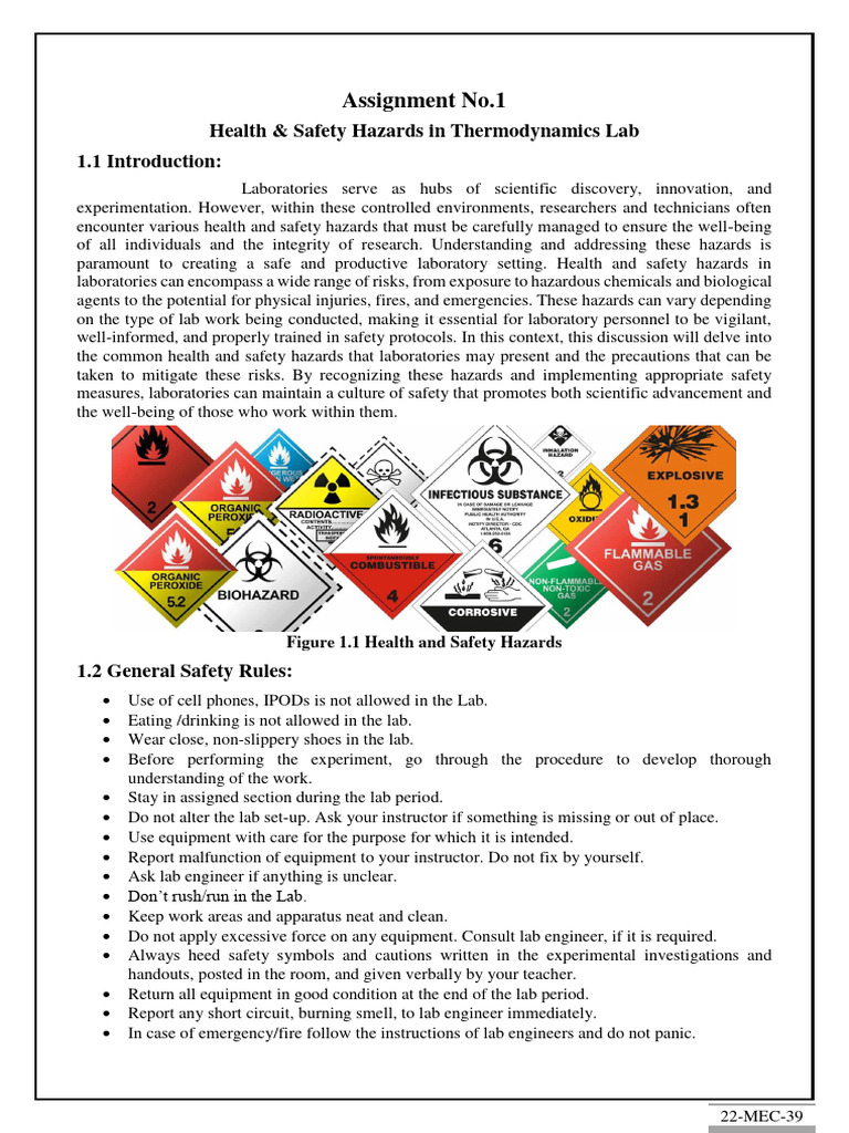 Thermo Lab 1 R | PDF | Hazards | Personal Protective Equipment