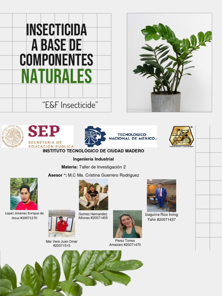 Capitulo 1,2, 3 y 4 FINAL | PDF | Experimentar | Insectos