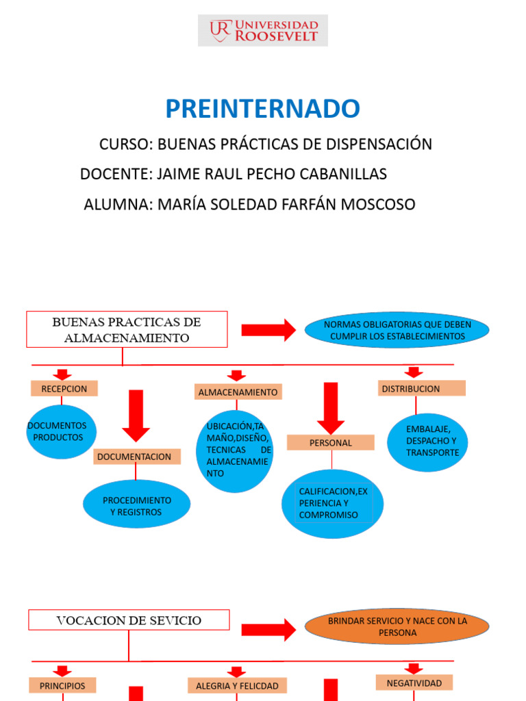 Mapa Conceptual | PDF