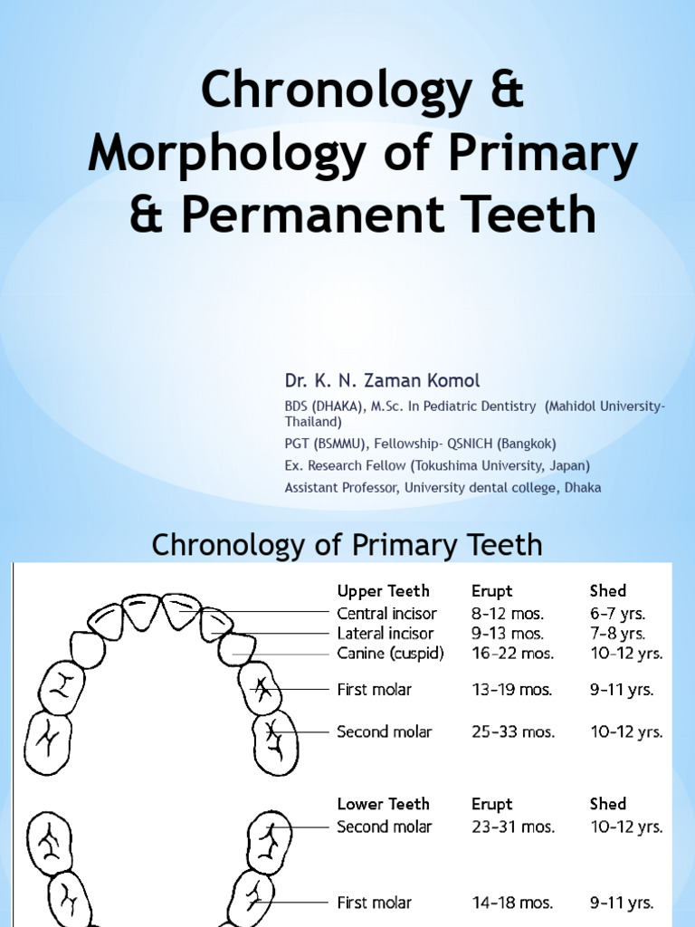 Primary and Permanent Teeth Chronology | PDF | Dental Anatomy | Mouth