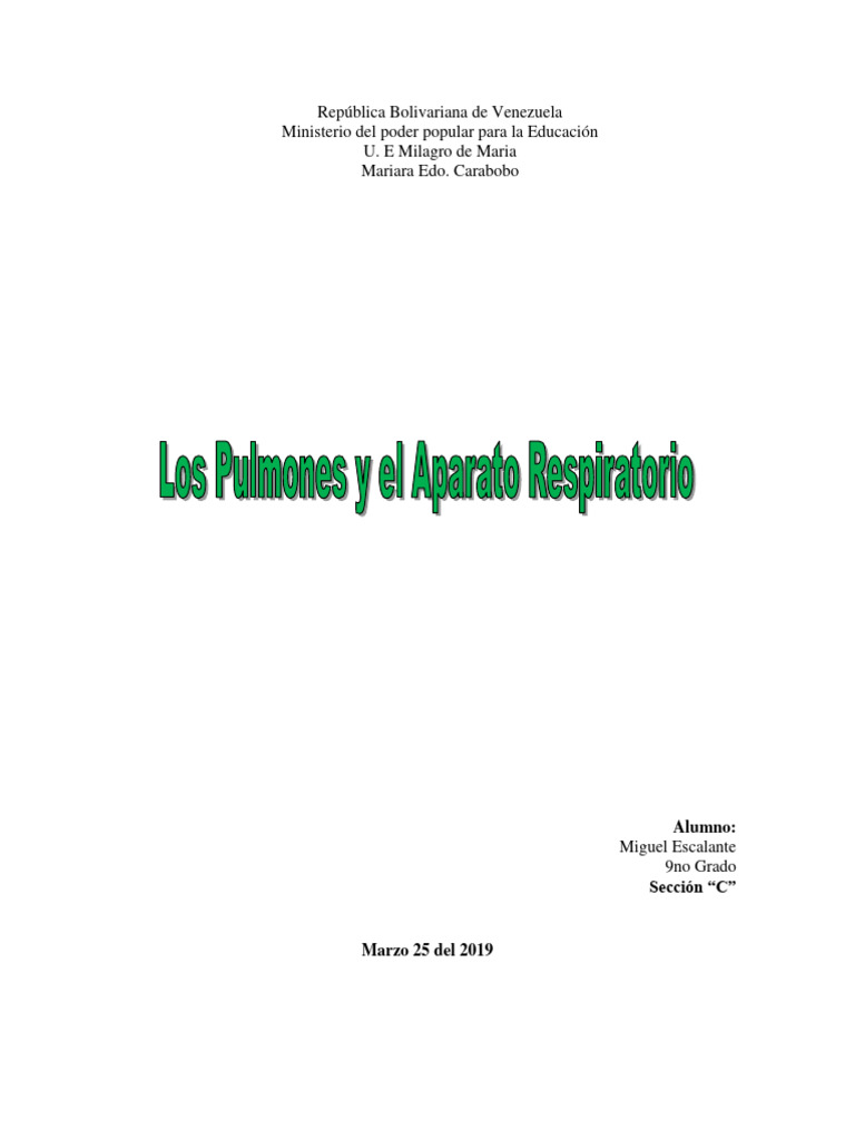 Los Pulmones | PDF | Pulmón | Sistema respiratorio