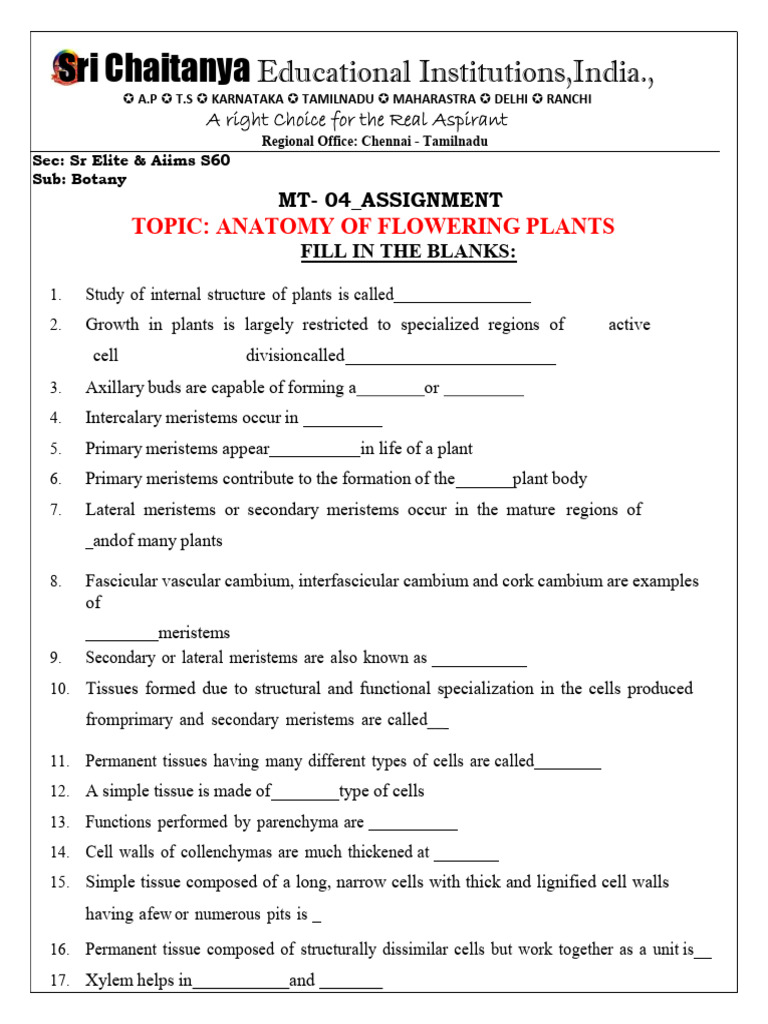 Anatomy of Flowering Plants - Botany Assignment | PDF | Plant Stem ...