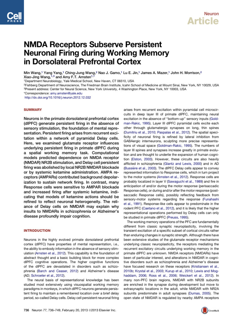 NMDA Receptors Subserve Persistent Neuronal Firing During Working Memory in Dorsolateral ...