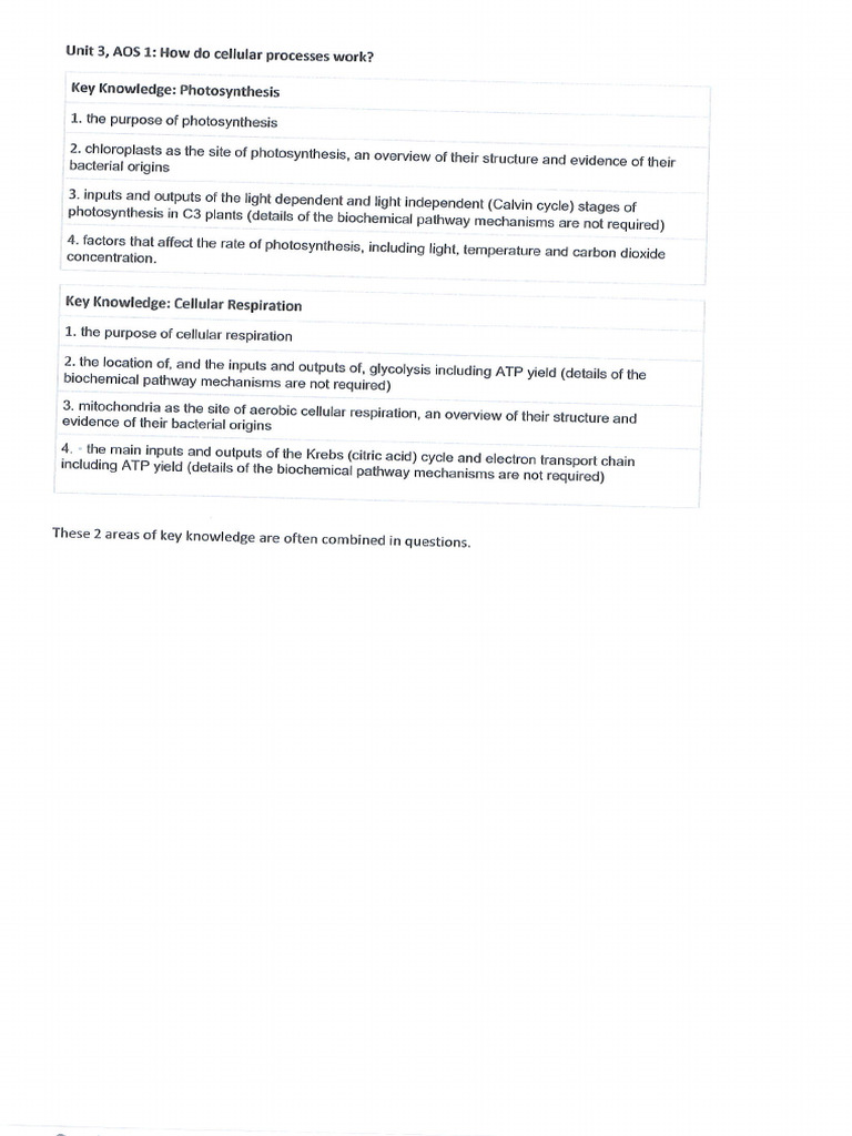 Revision - Photosynthesis and Cellular Respiration Answers | PDF