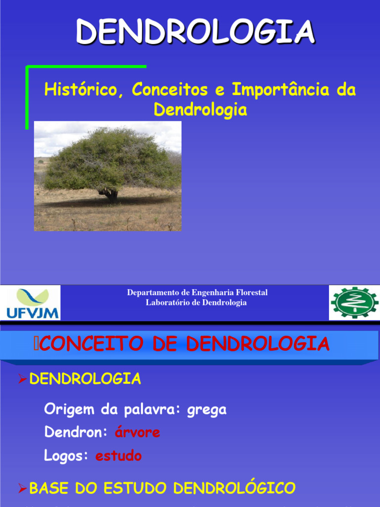 Noes Bsicas em Dendrologia Apostila02 | PDF | Biologia | Plantas