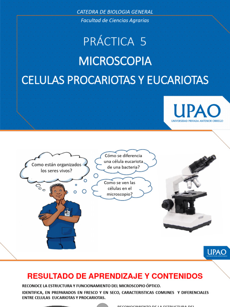 Microscopía de Células Procariotas y Eucariotas | PDF | Biología ...