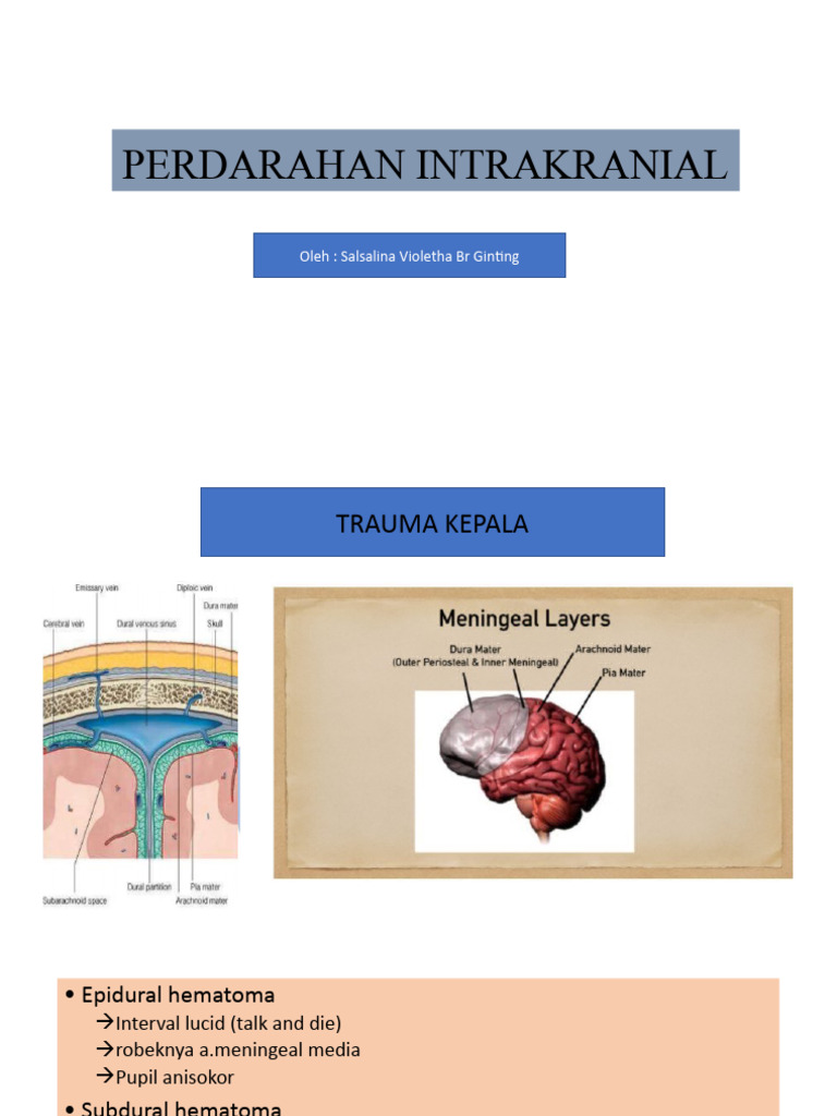 Perdarahan Intrakranial | PDF | Human Diseases And Disorders | Human ...