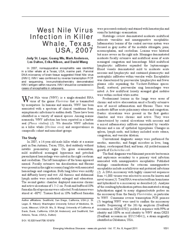 A Second Captive Orca, Taku, Dies From Virus Transmitted by Mosquito ...