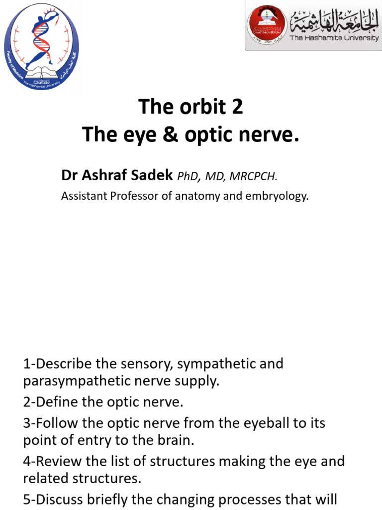 Orbit 2 | PDF | Neuroanatomy | Face