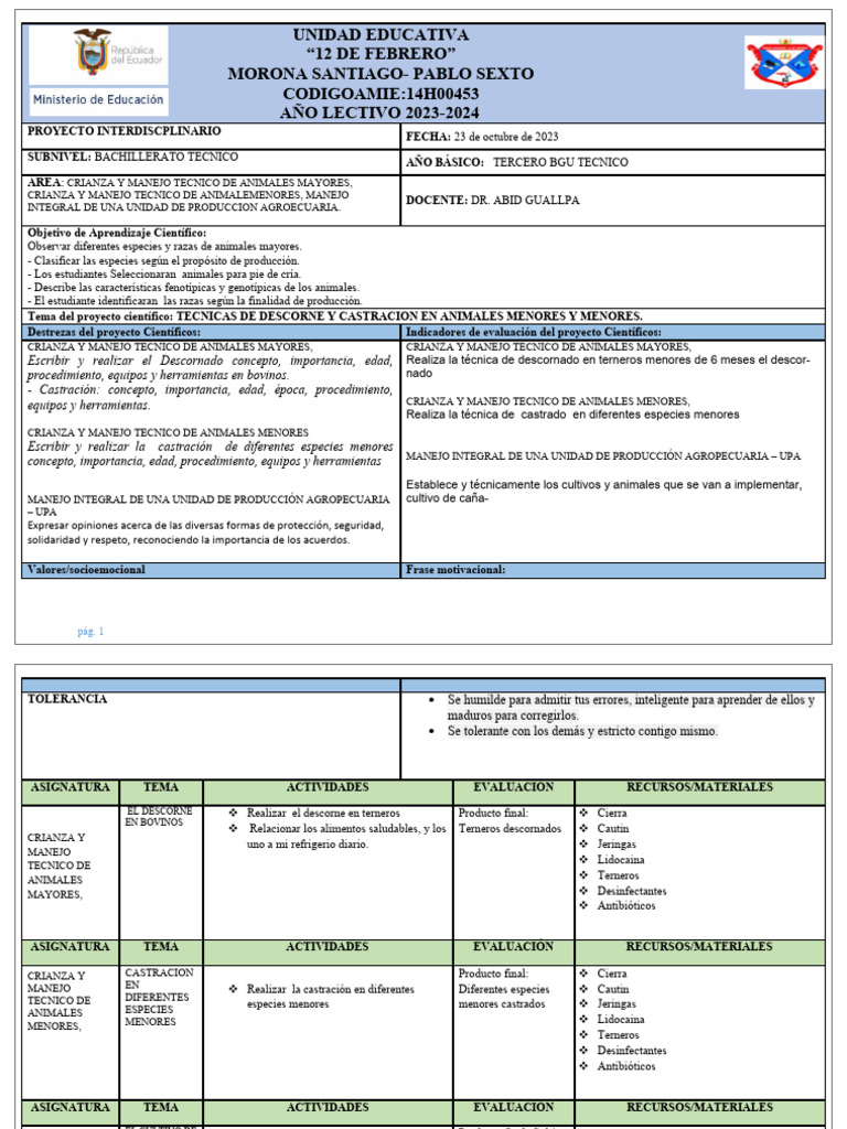 Proyecto Interdisciplinar 2ro Tecnico | PDF
