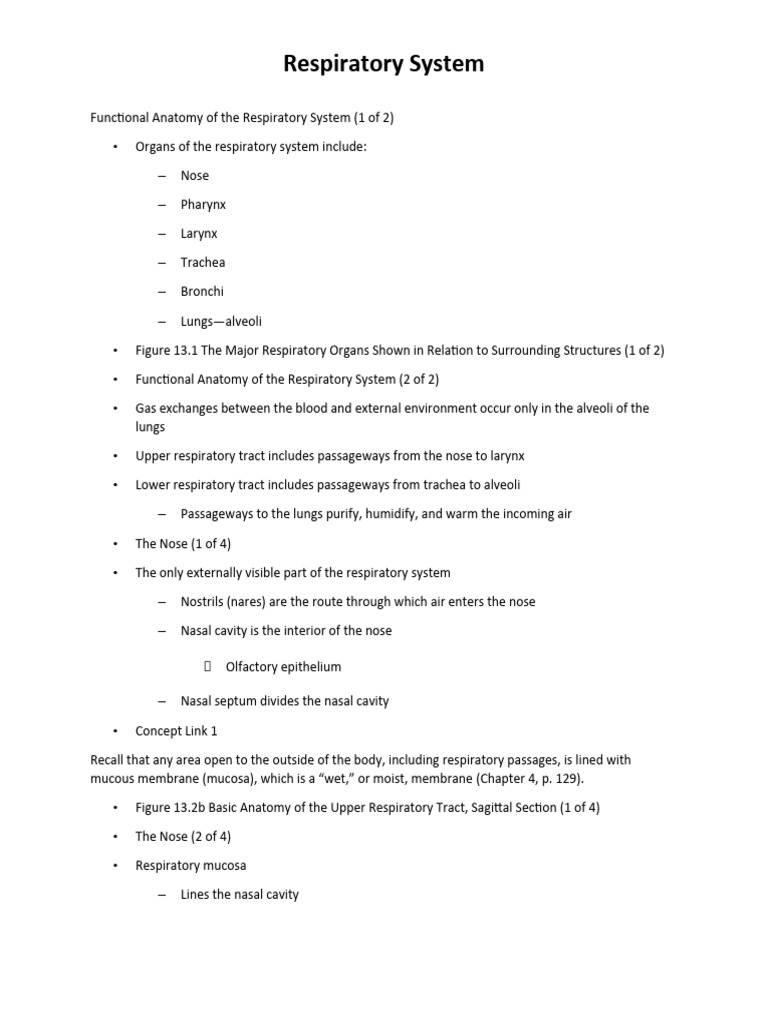 Respiratory | PDF | Respiratory Tract | Lung