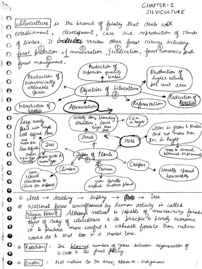 Forestry Notes | PDF