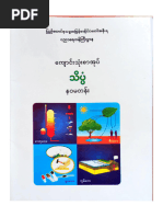 CV-form For Ex-Myanmar and Myanmar Nationals | PDF