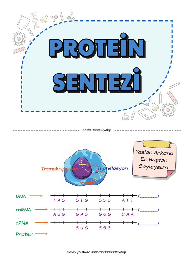 Protein Sentezi | PDF