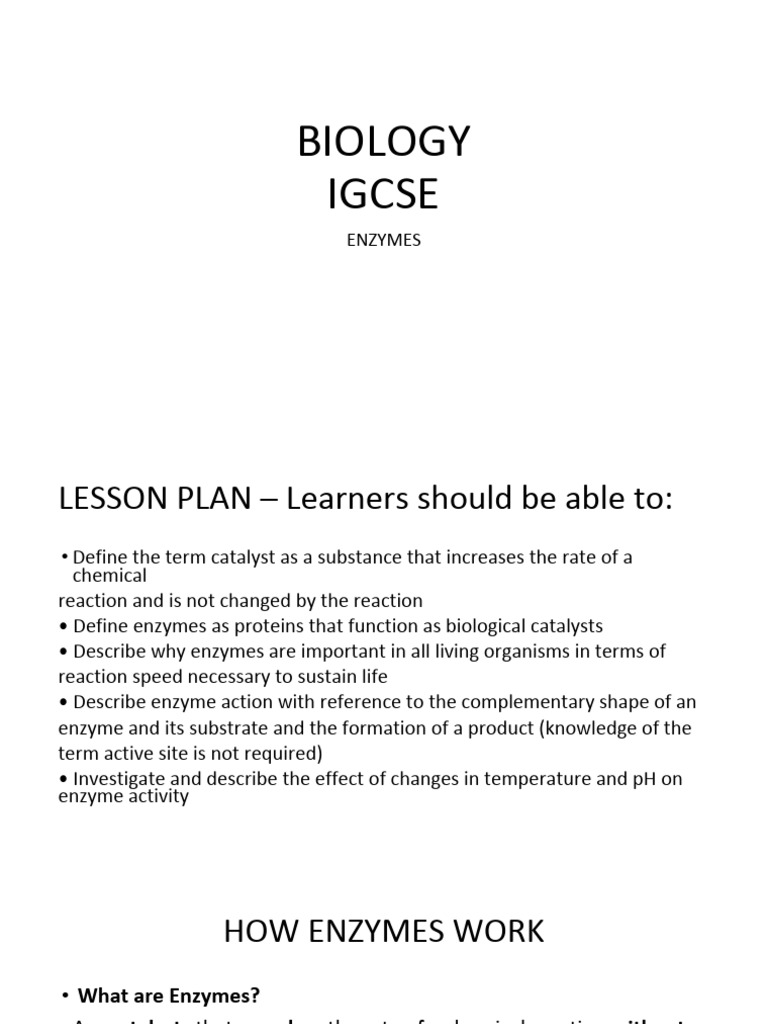 Enzymes Notes F4 | PDF | Enzyme | Active Site